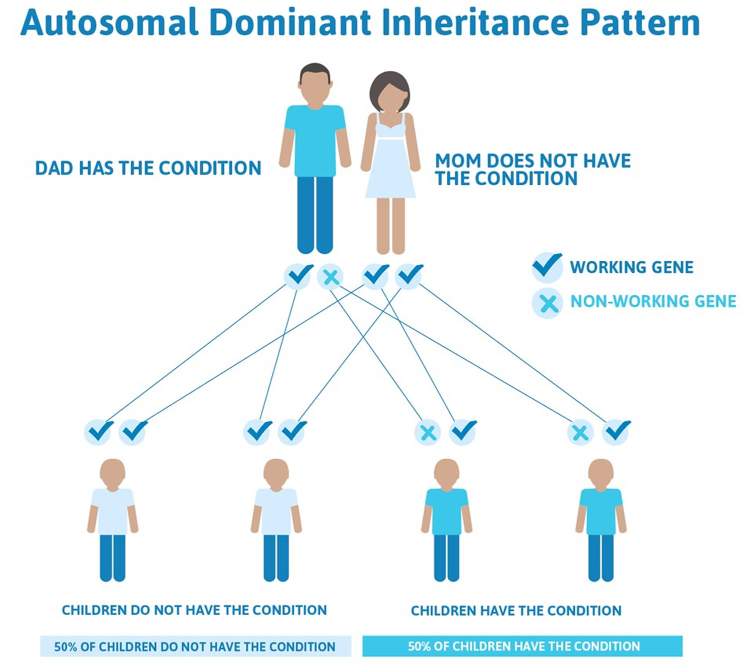 Familial Hypercholesterolemia Causes Genetics Symptoms Treatment