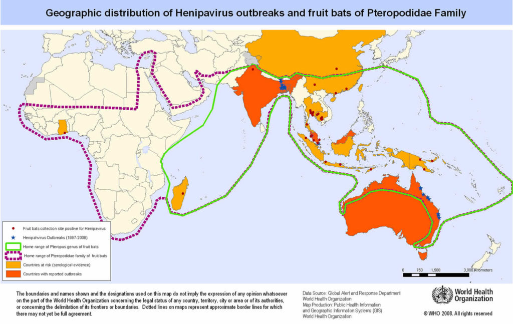 Nipah virus transmission, outbreak, symptoms, diagnosis & treatment Nipah virus transmission, outbreak, symptoms, diagnosis & treatment