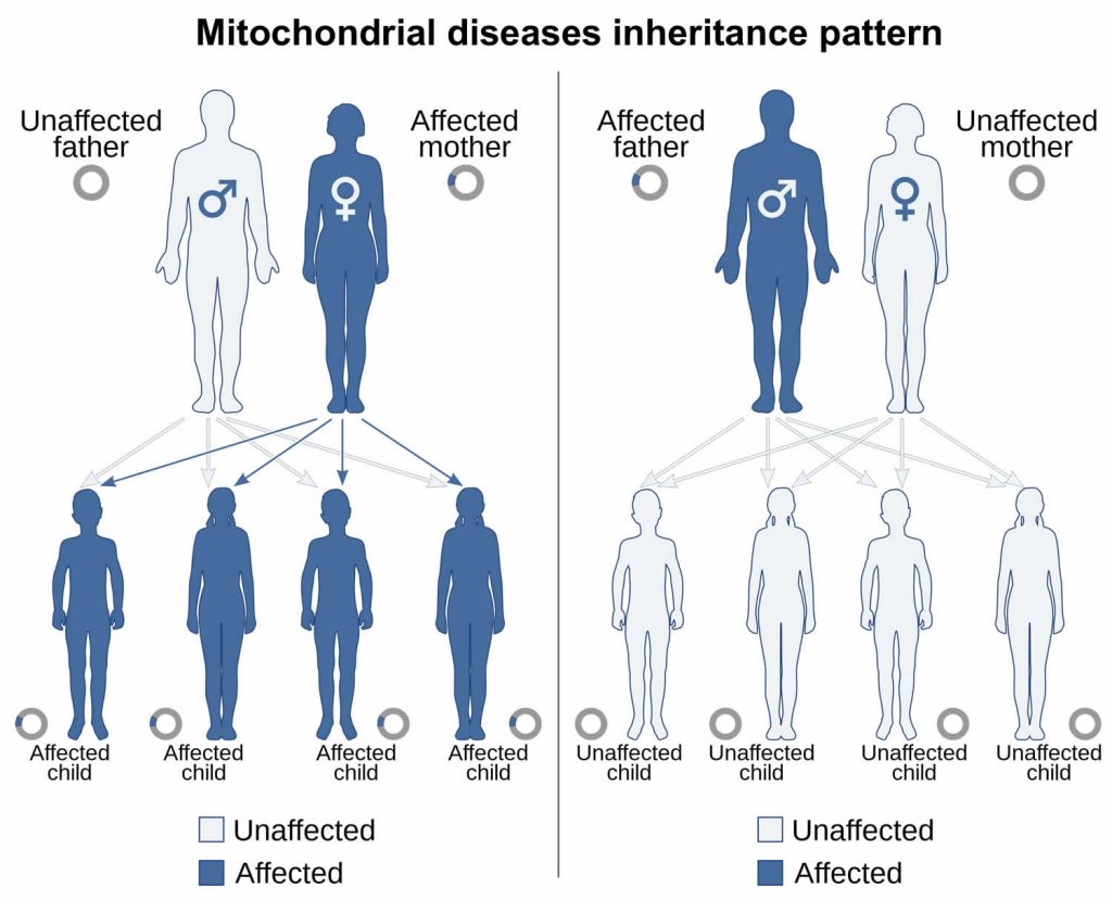 Mendelian Inheritance Non Mendelian Inheritance